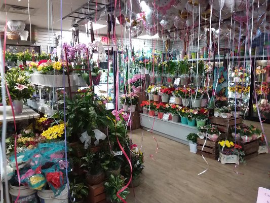 FLOWERAMA - 43 Photos - Florists - 5401 Memphis Ave, Cleveland, OH ...