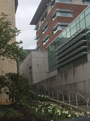 READING HOSPITAL - TOWER HEALTH - Updated January 2026 - 12 Photos & 94 ...