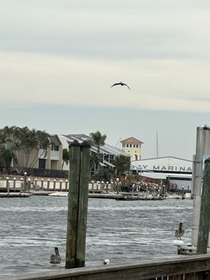 RIVERWALK AT TIN CITY - Updated December 2025 - 354 Photos & 414 ...