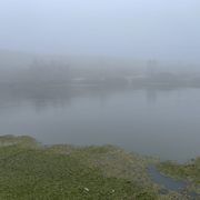 RIVERBOTTOM PARK - 14 Photos - Fresno, CA - Yelp