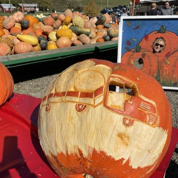 TRAX FARMS - Updated December 2025 - 407 Photos & 102 Reviews - 528 ...