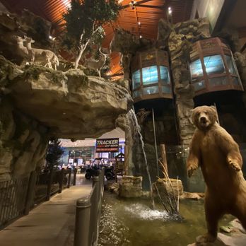 BASS PRO SHOPS - Updated January 2026 - 190 Photos & 95 Verified ...