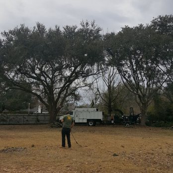 BOB ROSS TREE SERVICE - Updated December 2025 - 1406 E Olive Rd ...