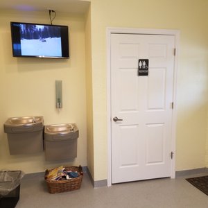 PAWS PLUS VETERINARY - Updated June 2025 - 2111 Crystal Wood Dr ...