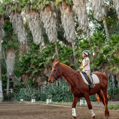 THE RIDING CLUB ACADEMY - Updated December 2025 - 46 Photos & 13 ...