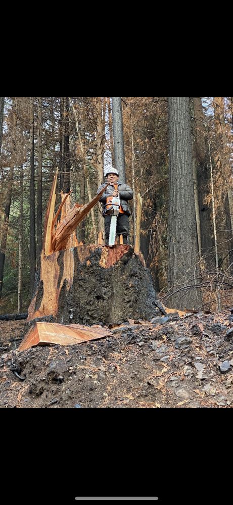 EMMANUEL TREE - Updated October 2025 - 98 Photos - 711 Ave H, South ...