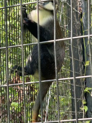 JACKSON ZOOLOGICAL PARK - Updated December 2025 - 127 Photos & 34 ...