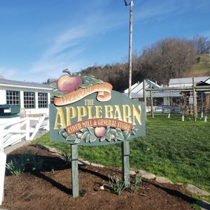 THE APPLE BARN & CIDER MILL - 488 Photos & 388 Reviews - 230 Apple ...