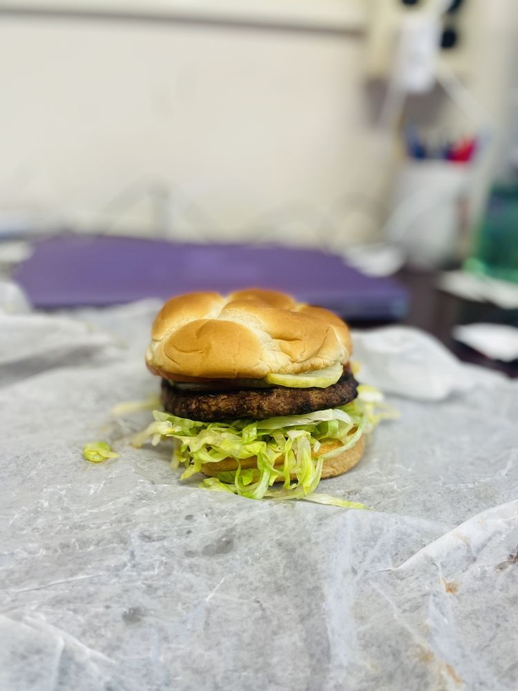 D&D DOGS - Updated September 2025 - 51 Photos & 69 Reviews - 825 Noyes ...