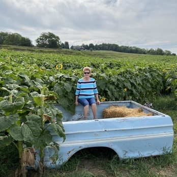 NELSON PRODUCE FARM - Updated January 2025 - 161 Photos & 24 Reviews ...