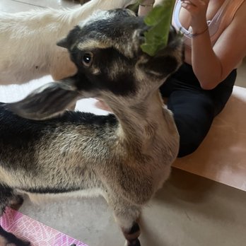 FERRARI FARMS - Updated October 2025 - 191 Photos & 69 Reviews - 4701 ...