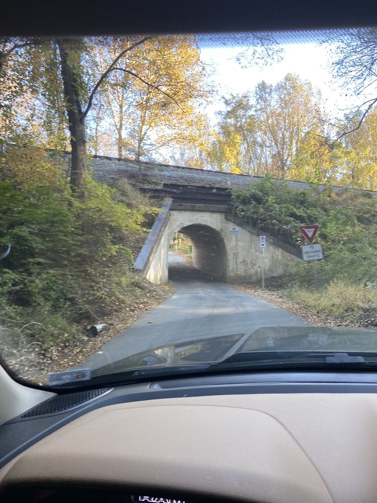 BUNNY MAN BRIDGE - Updated October 2024 - 18 Reviews - Clifton ...