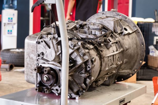 RAPTOR TRANSMISSION - Updated December 2025 - 18 Photos & 14 Reviews ...