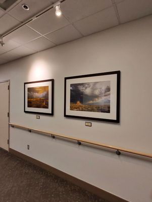 HONORHEALTH SCOTTSDALE SHEA MEDICAL CENTER - Updated June 2024 - 178 ...