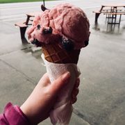 SNOW GOOSE PRODUCE - 331 Photos & 156 Reviews - Fruits & Veggies ...