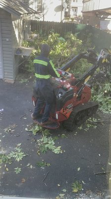 FRIENDLY TREE SERVICE - Updated December 2025 - 28 Photos & 184 Reviews ...