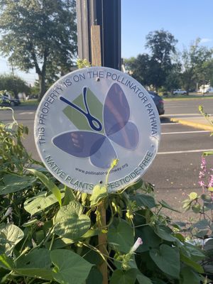 NORTH HAVEN MEMORIAL LIBRARY - Updated August 2025 - 22 Photos - 17 Elm ...