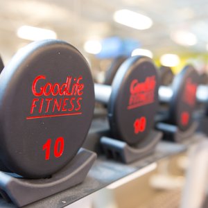 SHAPES FITNESS CENTRES - Updated April 2026 - 34 Reviews - 11-1150 ...