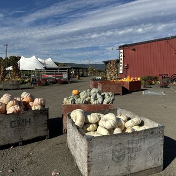 TOPAZ FARM - Updated December 2025 - 234 Photos & 68 Reviews - 17100 NW ...