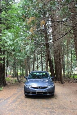 SENTINEL CAMPGROUND - Updated October 2025 - 43 Photos & 20 Reviews ...