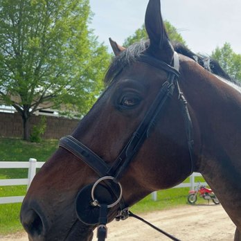 LAMPLIGHT EQUESTRIAN CENTER INC - Updated July 2025 - 6N940 Dunham Rd ...