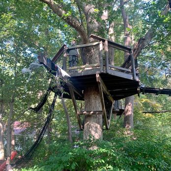 TREEHOUSE WORLD - Updated July 2025 - 118 Photos & 51 Reviews - 1442 ...