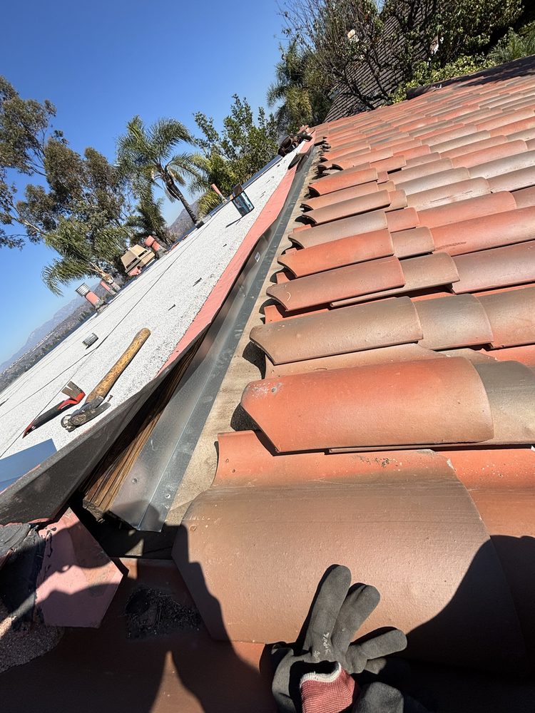 A TEAM SERVICES RODENT & WILDLIFE REMOVAL - Updated April 2026 - 20 ...