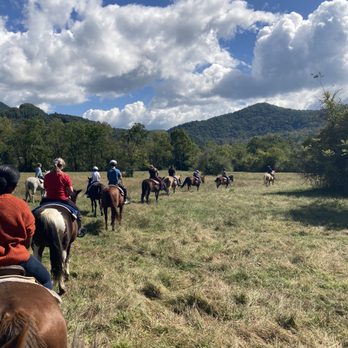 DILLARD HOUSE STABLES - Updated December 2025 - 73 Photos & 25 Reviews - 478 Franklin St ...