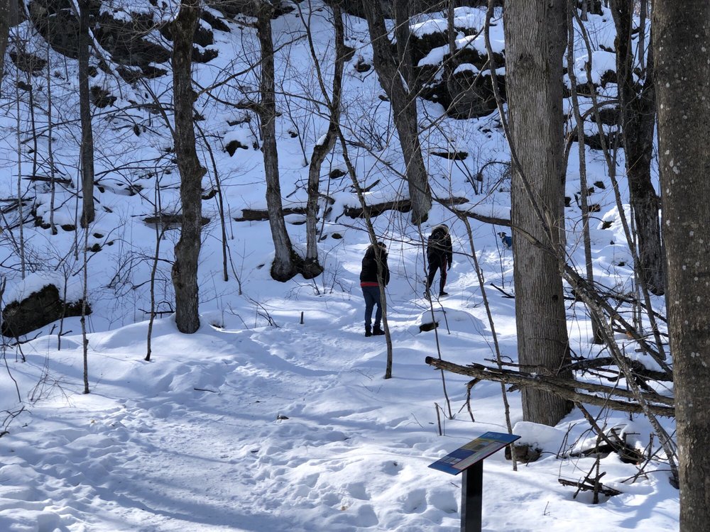 MONO CLIFFS PROVINCIAL PARK - 88 Photos & 10 Reviews - 795122 3rd Line ...
