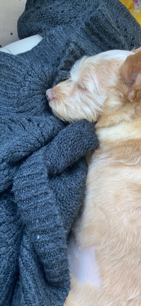 LSU VETERINARY TEACHING HOSPITAL - Updated January 2025 - 11 Photos ...