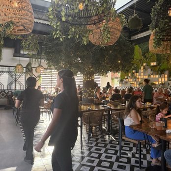 VIDA COCINA & TEQUILA - Updated August 2025 - 1462 Photos & 431 Reviews ...