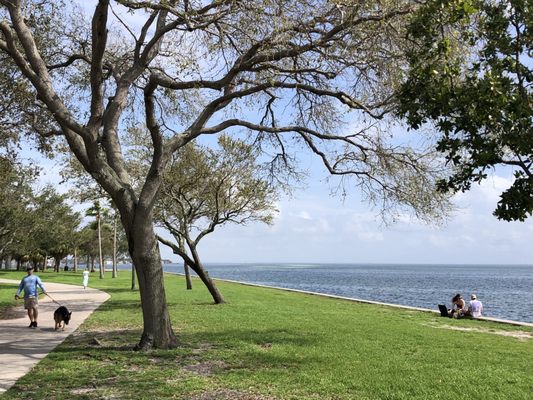 VINOY PARK - Updated February 2025 - 247 Photos & 93 Reviews - 501 5th ...