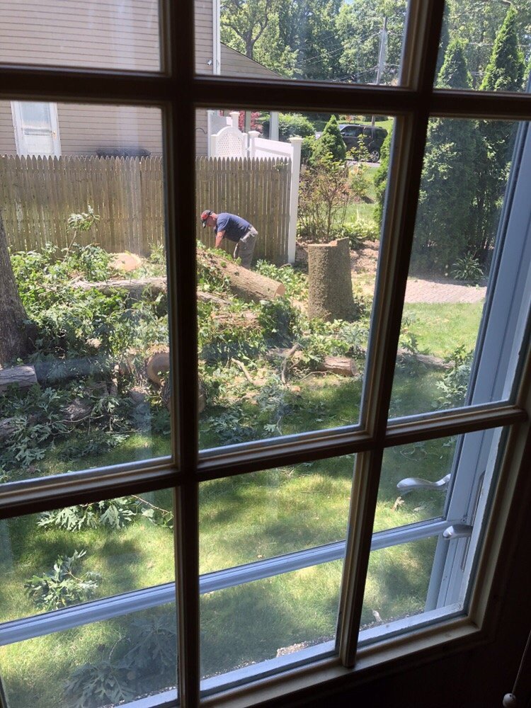 TIM BAXLEY TREE - Updated December 2025 - 36 Elwood Rd, Northport, New ...