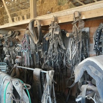 KNOBLOCK RIDING STABLE - Updated October 2025 - 23 Photos & 20 Reviews ...