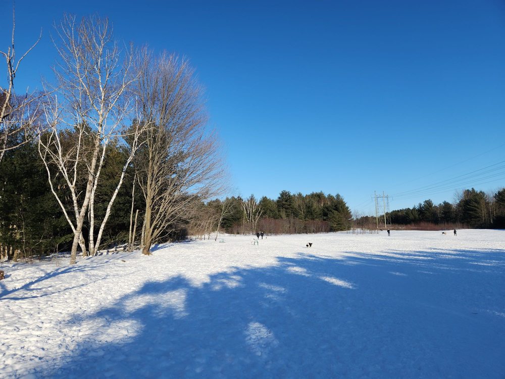 BRUCE PIT - 26 Photos & 12 Reviews - RR 23 Cedarview Road, Ottawa ...