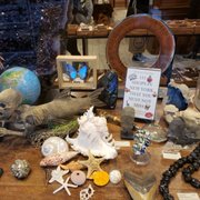 THE EVOLUTION STORE - 312 Photos & 186 Reviews - 687 Broadway, New York ...