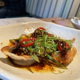 THE TOASTED COCONUT - 937 Photos & 358 Reviews - 1617 Richmond Ave ...