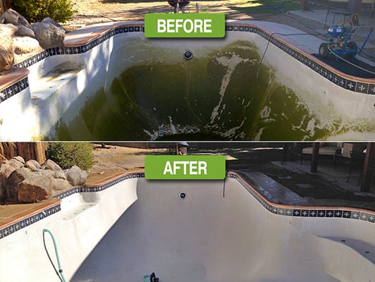 Bullfrog Pool Tile Cleaning
