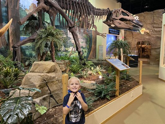 THE DINOSAUR STORE - 115 Photos & 62 Reviews - Museums - 250 W Cocoa ...