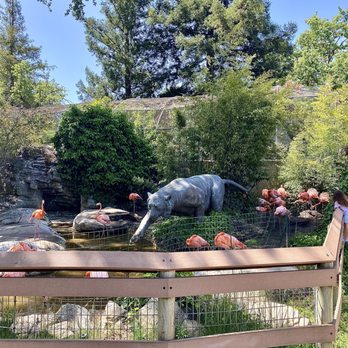 CHARLES PADDOCK ZOO - Updated August 2025 - 322 Photos & 162 Reviews ...