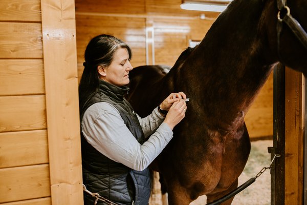 EVERGREEN EQUINE VETERINARY PRACTICE - Updated October 2025 - 14 Photos ...