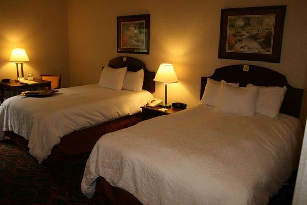 HAMPTON INN STROUDSBURG/POCONOS - Updated 2024 - 156 Photos & 60 ...