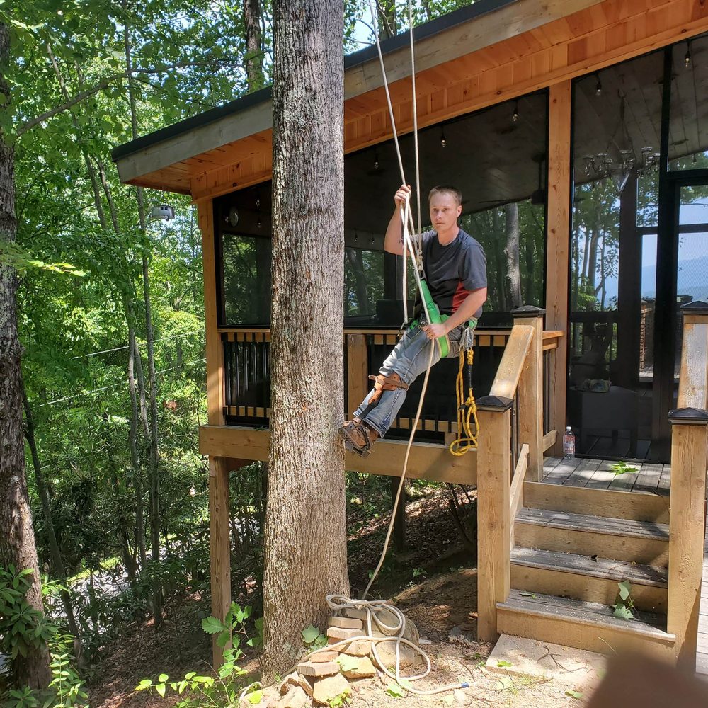 BRANDON’S TREE EXPERTS - Updated July 2025 - Morristown, Tennessee ...