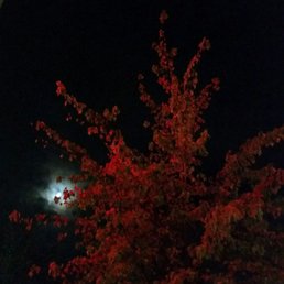 SUSHI ZEN - Updated January 2026 - 412 Photos & 444 Reviews - 13206 ...