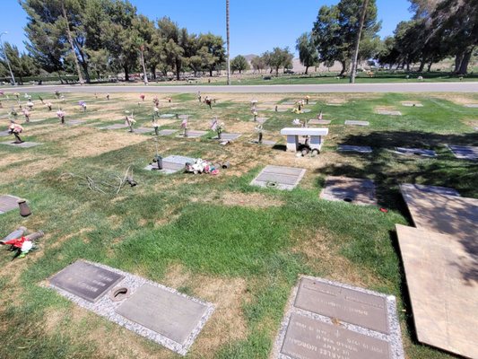 PHOENIX MEMORIAL PARK AND MORTUARY - Updated April 2025 - 55 Photos ...