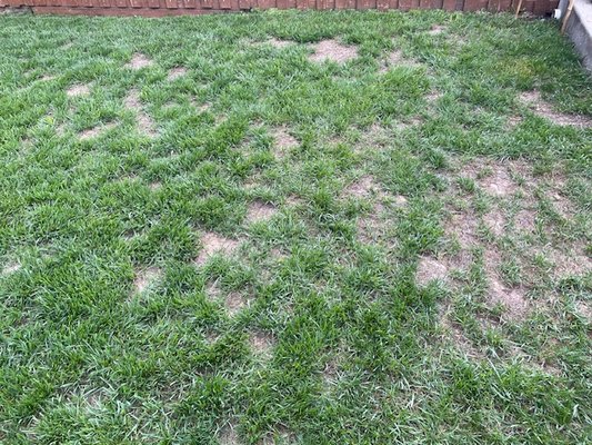 PRO GRASS - Updated June 2026 - 14 Photos & 13 Reviews - 1941 ...
