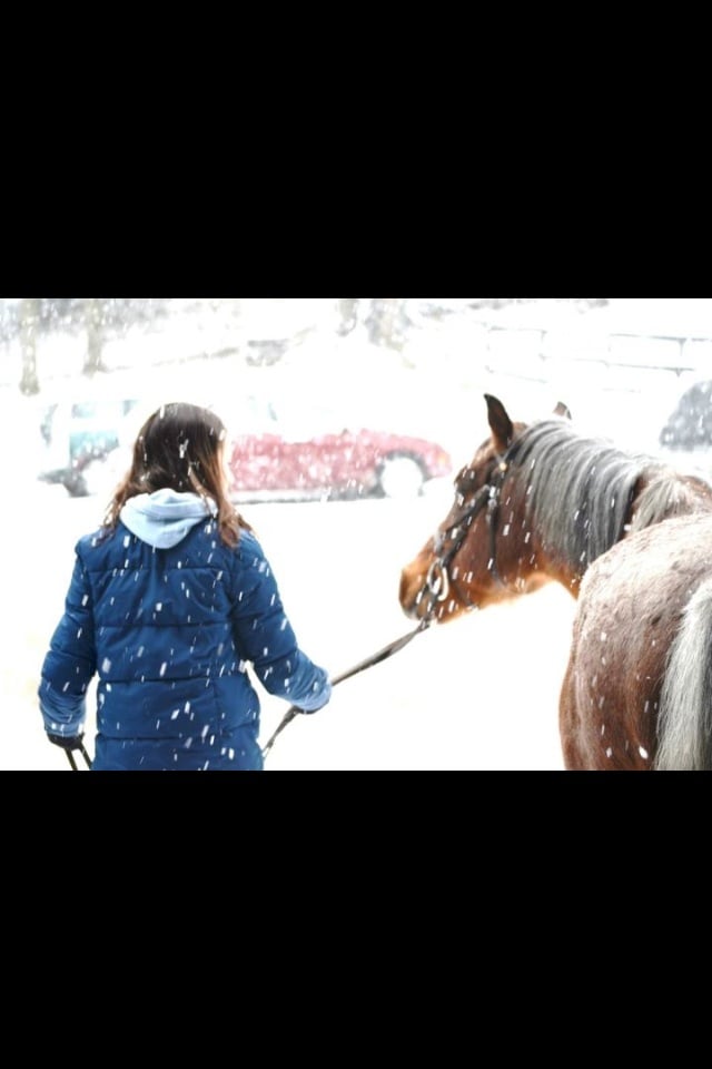 CANTERBURY MANOR STABLES & TACK SHOPPE - Updated August 2025 - 605 ...