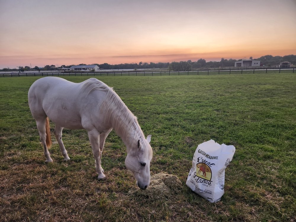 MK RANCH - Updated October 2025 - 15 Photos - Vero Beach, Florida ...