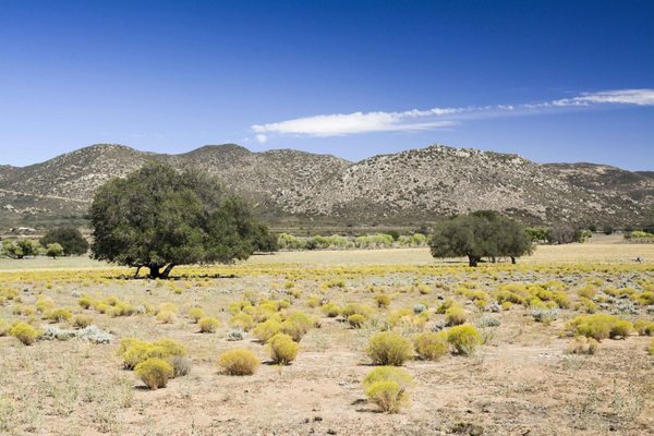 FREEDOM RANCH - Updated December 2025 - 11 Photos - 1777 Buckman ...