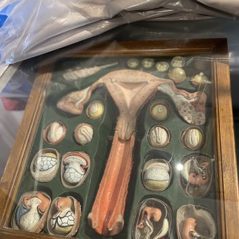 INTERNATIONAL MUSEUM OF SURGICAL SCIENCE - Updated August 2024 - 626 ...